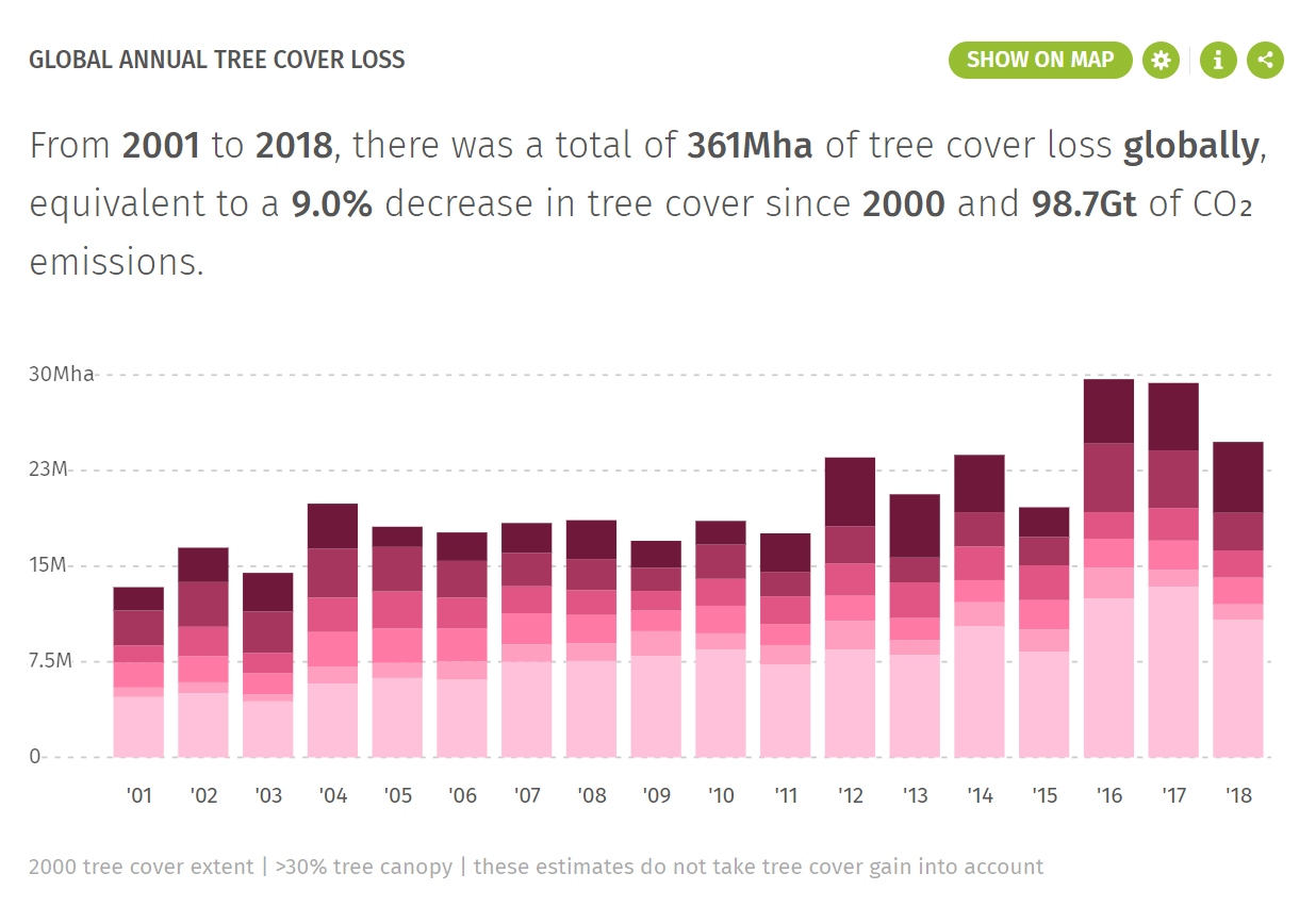 Amazon fires, Global Deforestation and what we are doing about it